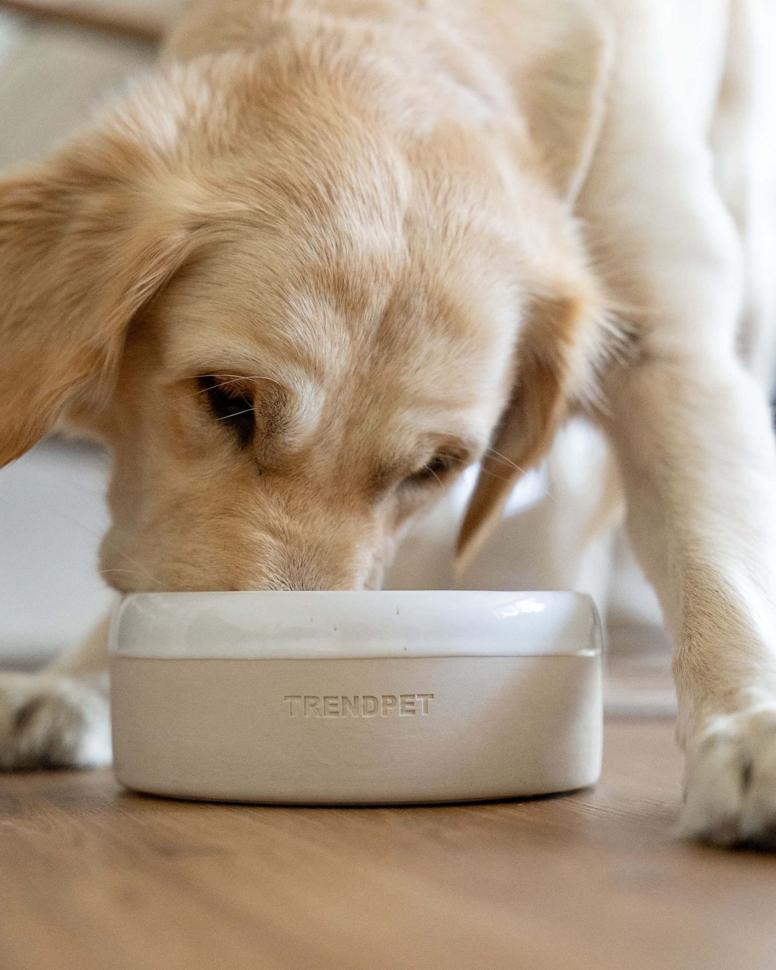 AnimalShopping - Hochwertige Produkte für deine lieben Vierbeiner