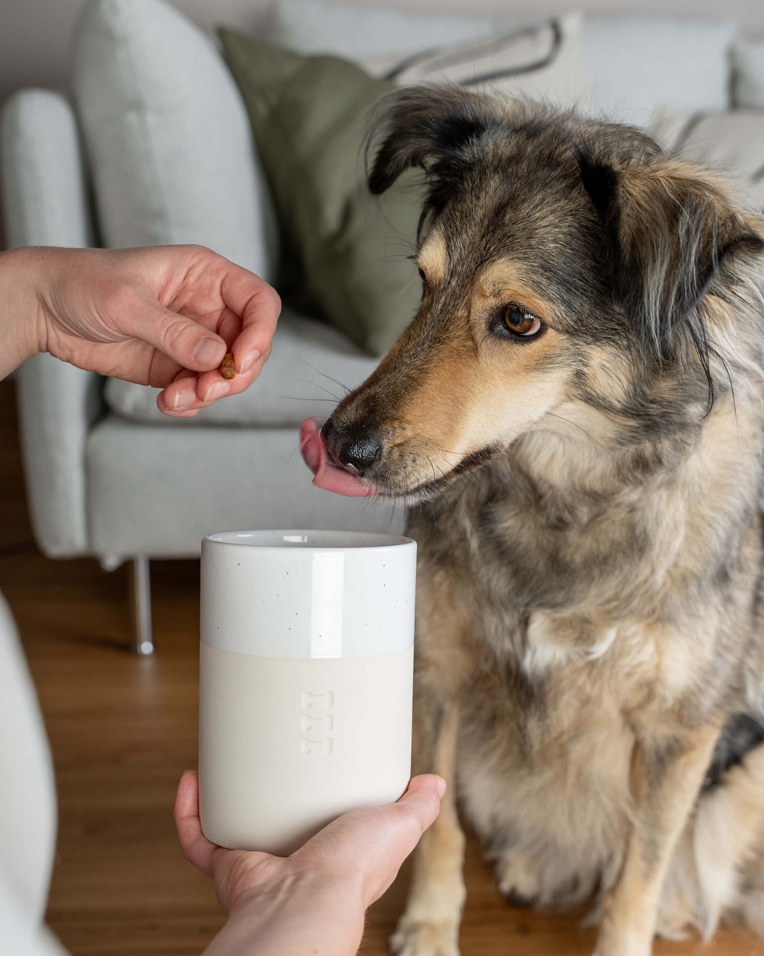 AnimalShopping - Hochwertige Produkte für deine lieben Vierbeiner